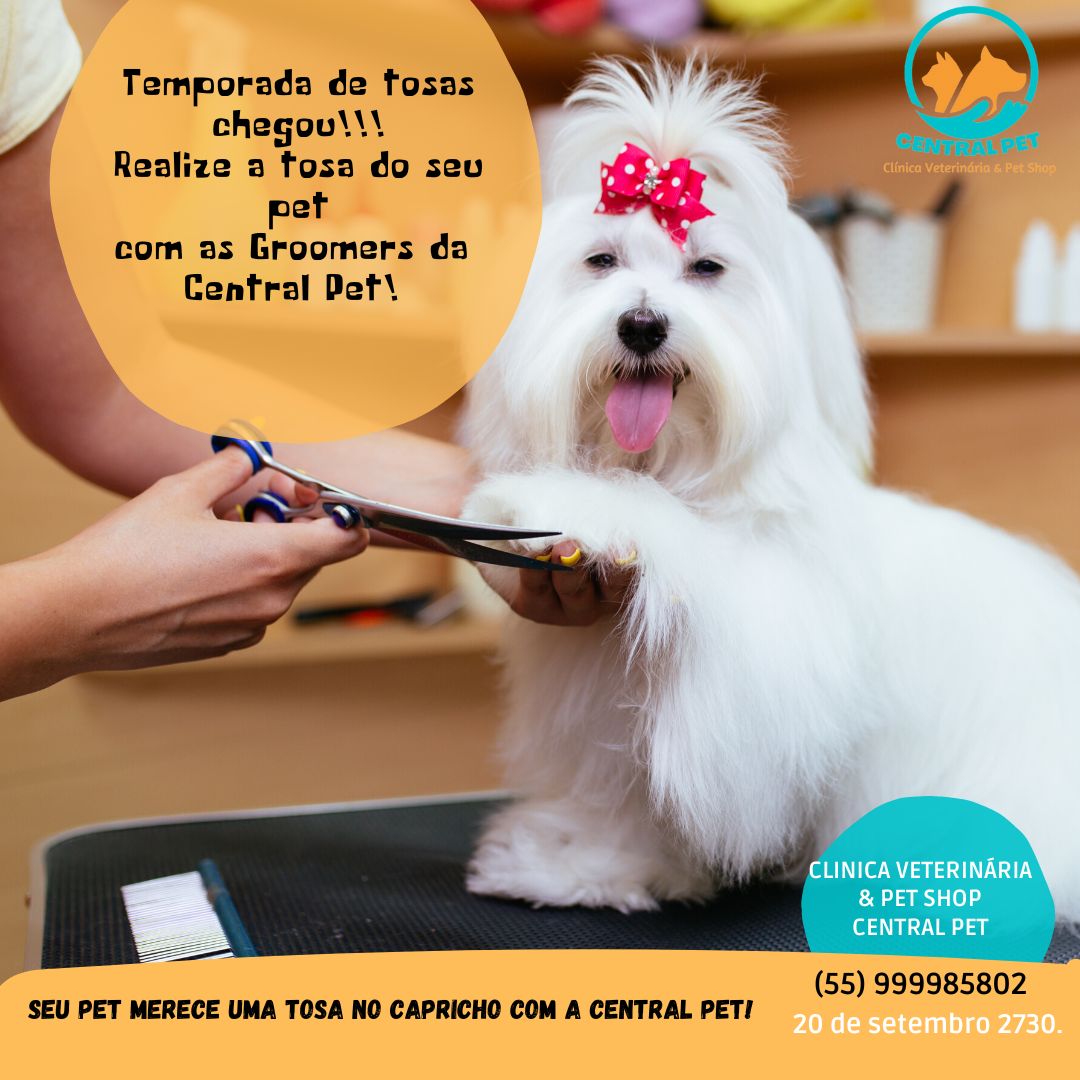 A temporada de tosas chegou na Central Pet - NP Expresso