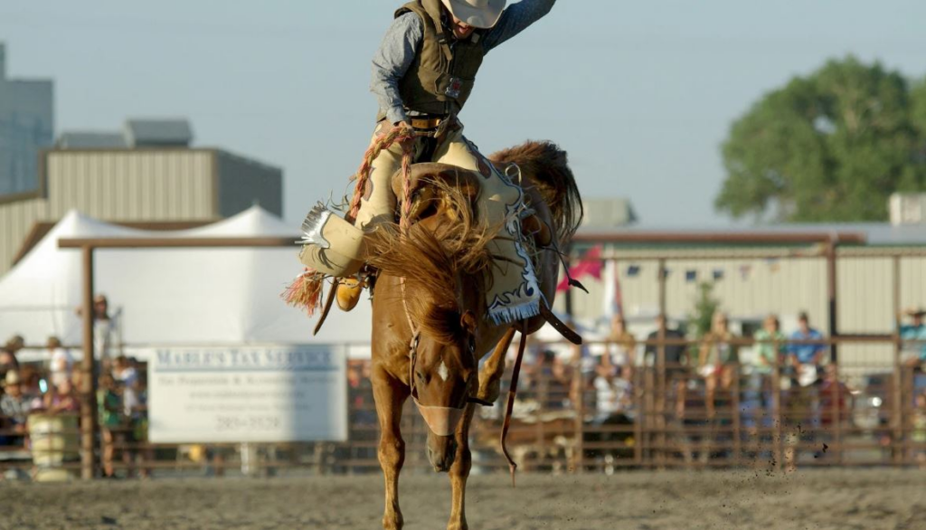 Maior rodeio tradicionalista do Brasil não terá gineteadas para evitar ...