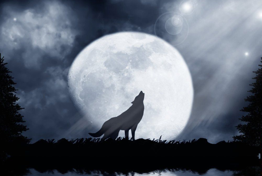 Lua do Lobo: A primeira Lua cheia de 2024