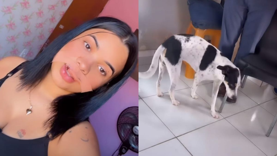 Perdeu parte do lábio após tentar beijar cachorro na boca - NP Expresso
