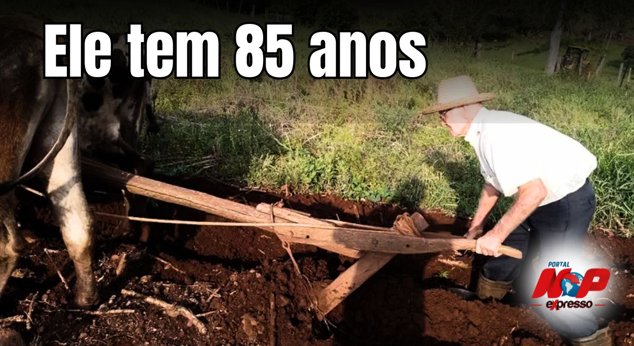 Taura do Rio Grande: agricultor de 85 anos ainda lavra roça com junta ...