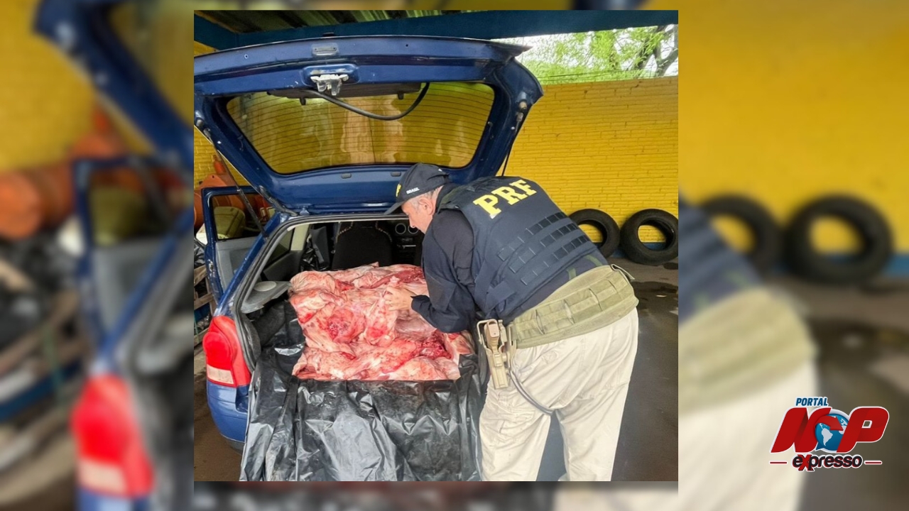 Pego com 300 kg de carne de capivara - NP Expresso