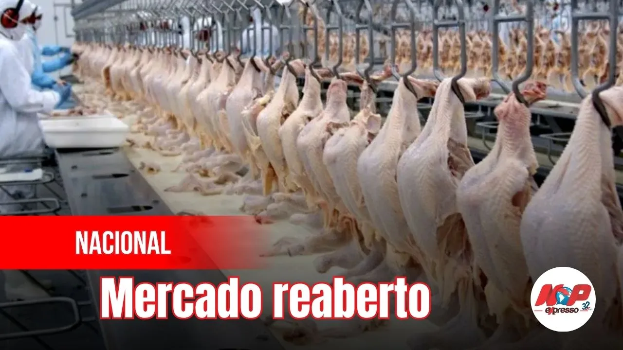 Brasil volta a exportar frango para a China - NP Expresso